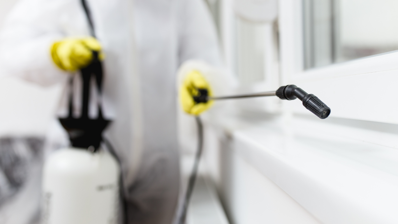 Pest Control Services | Bentonville, AR | 479-831-6405