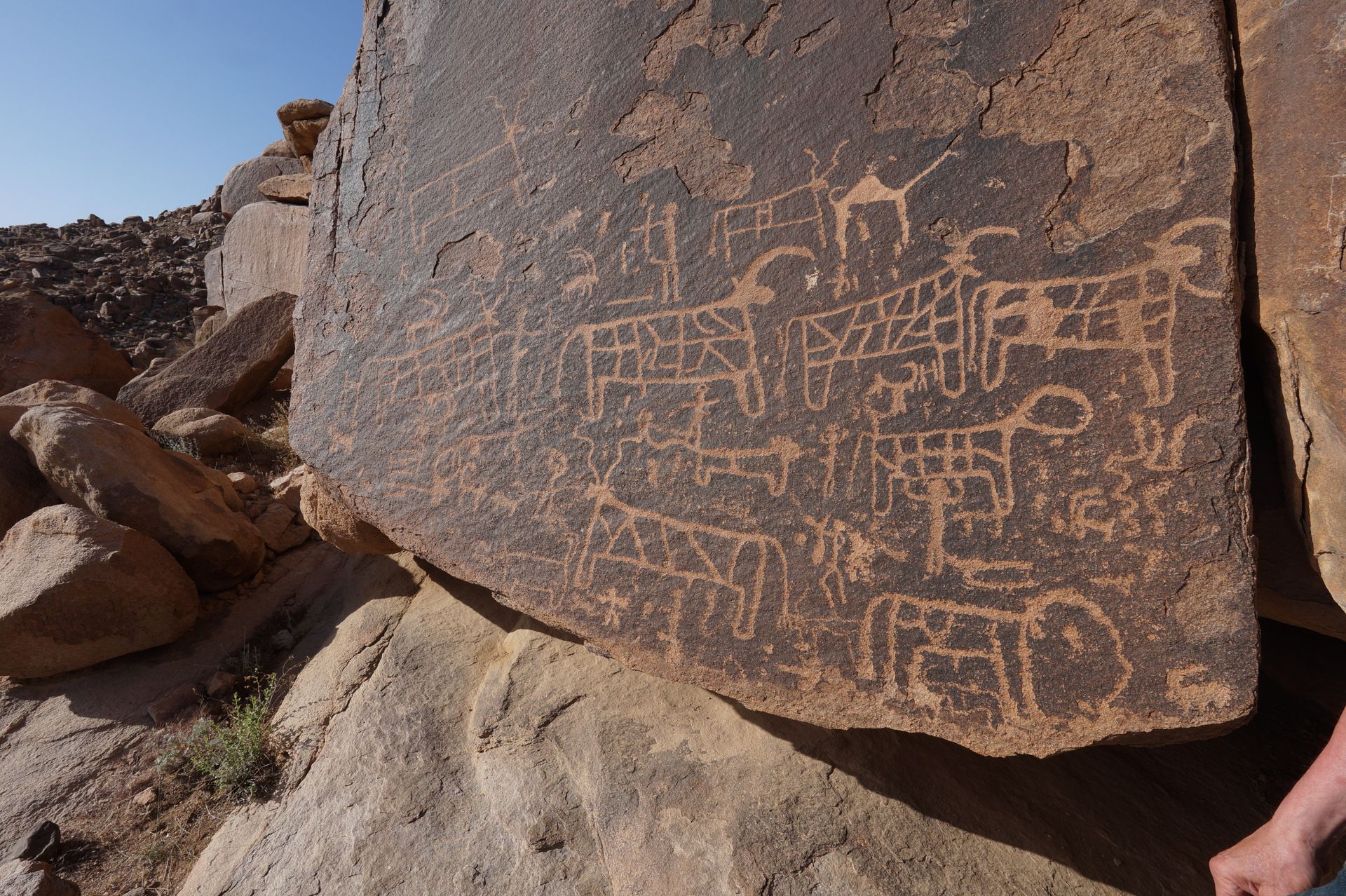 Exodus Paths Travel - Tours to Real Mount Sinai in Saudi Arabia