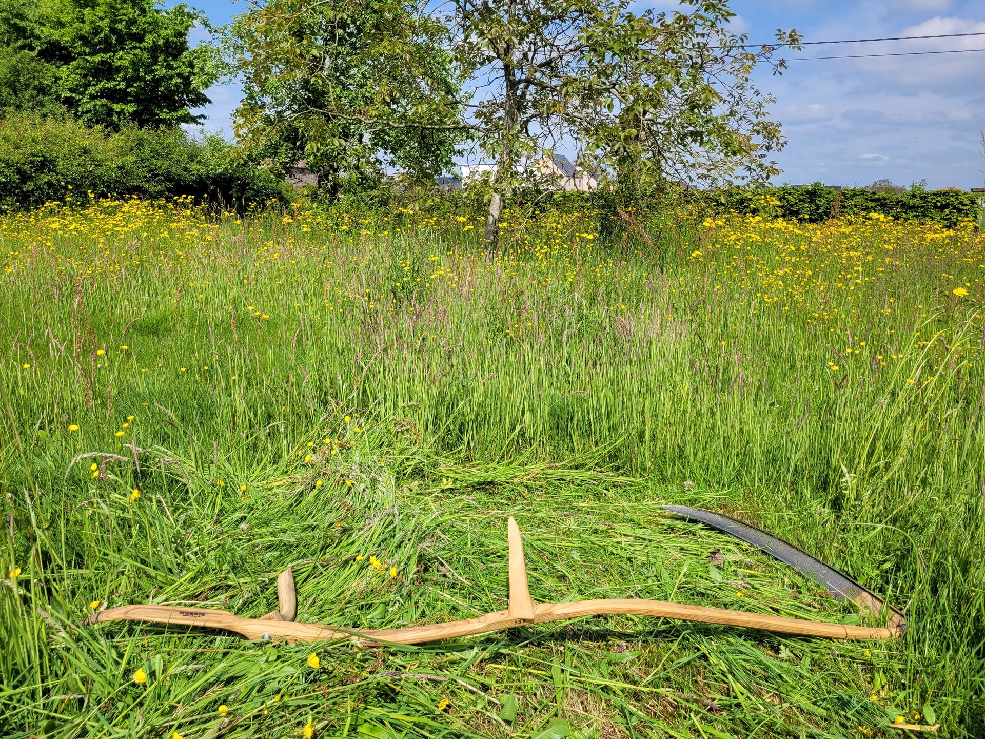 Tussen traditie en natuur, bloemrijke graslanden door de ogen van de ...