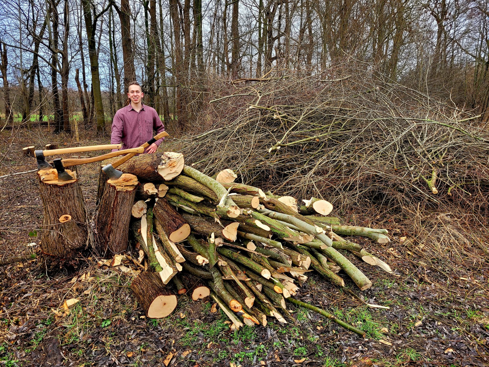 Houthakken met de bijl