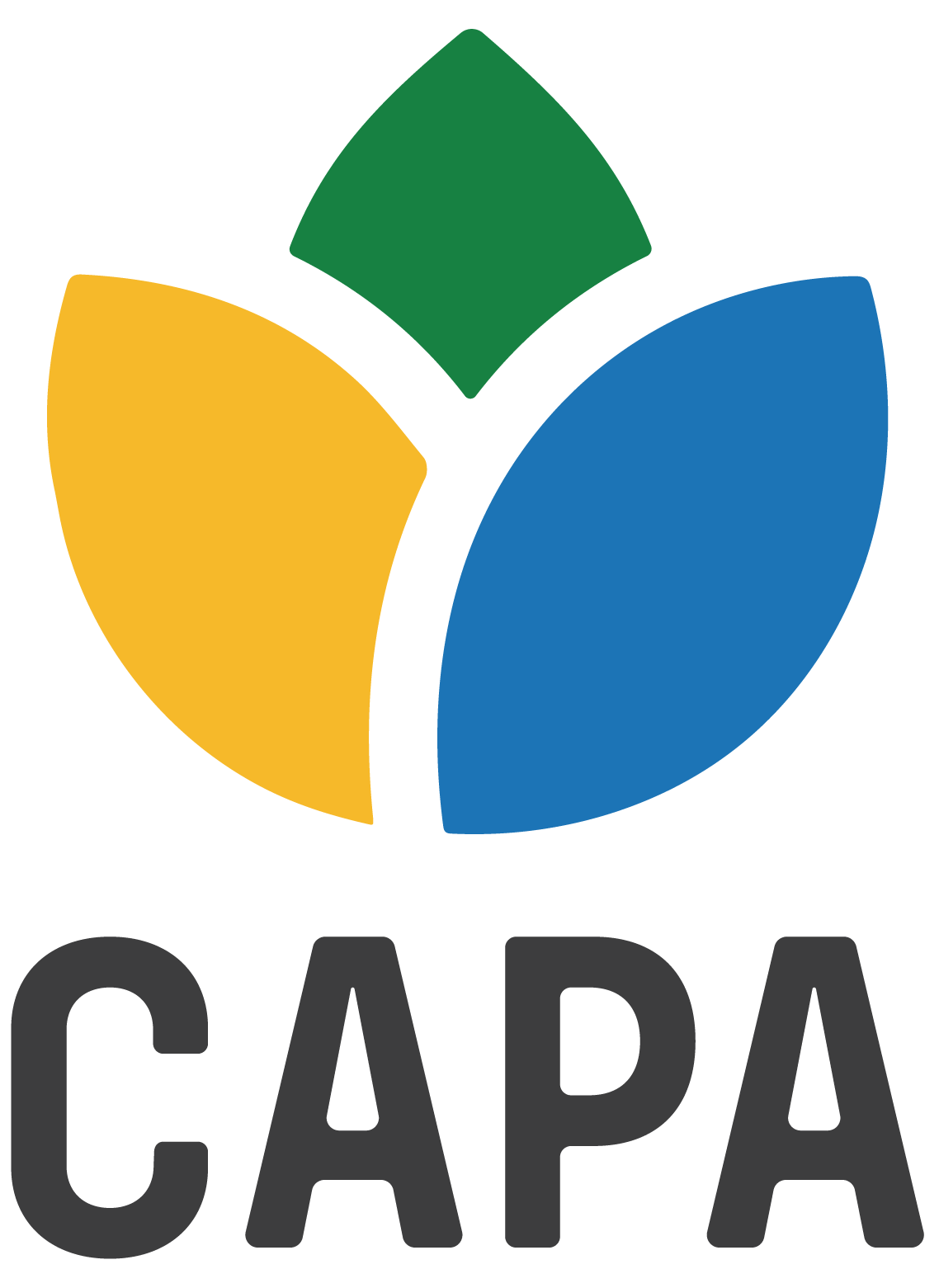 Heat Mapping - Heat Watch | CAPA Strategies