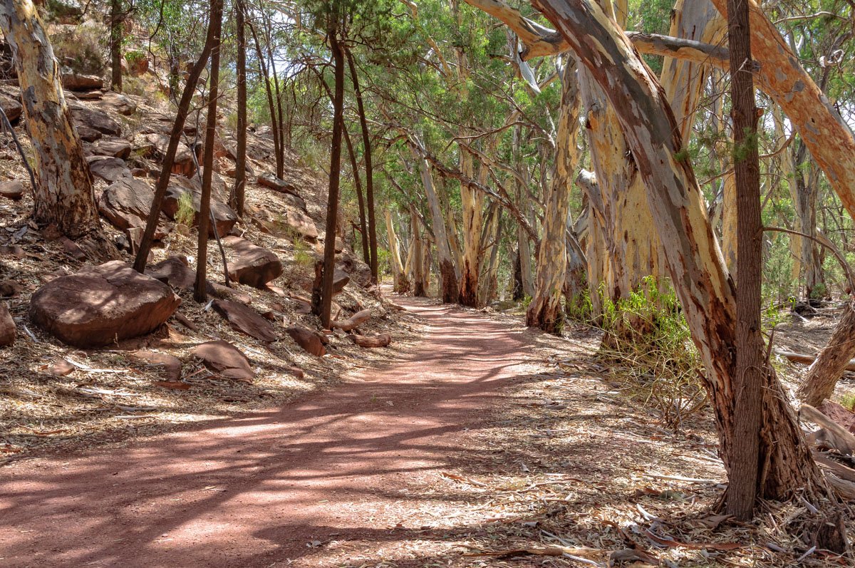 Mechanical services | Wangara