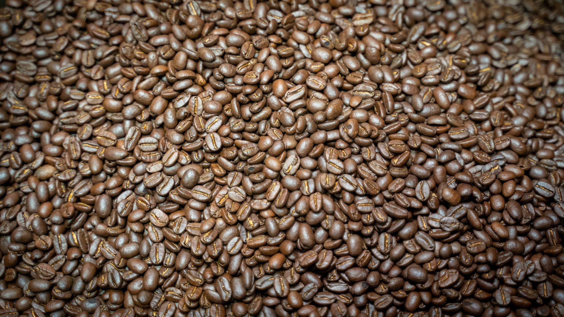 Vasquez Coffee Company | Artisan Coffee Roasting