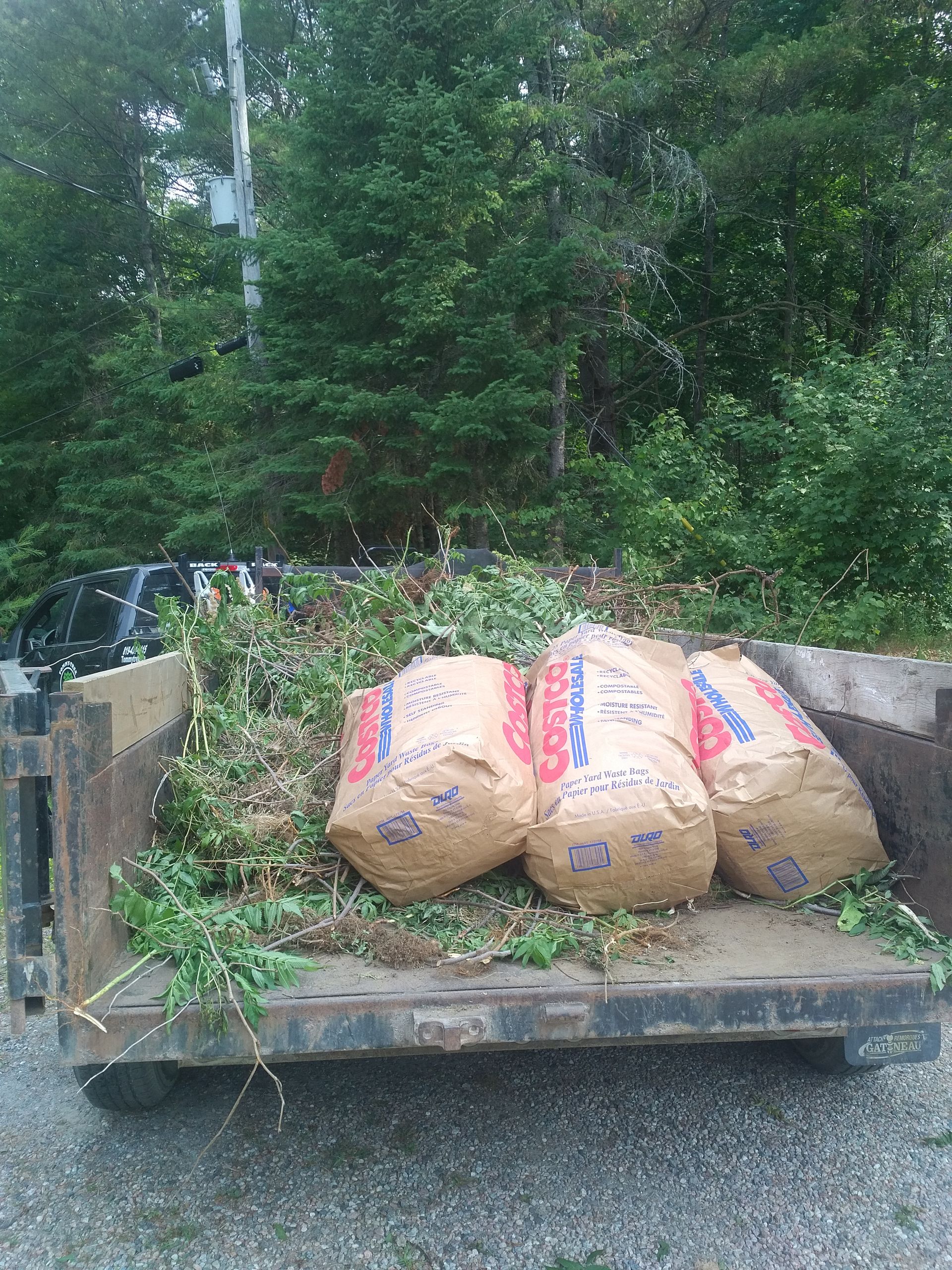 Tommy-Tree Yard Services