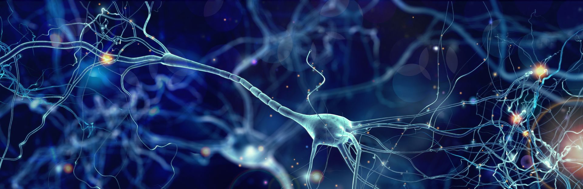 10 Ways SNNs Mimic the Architectural Wonders of the Brain