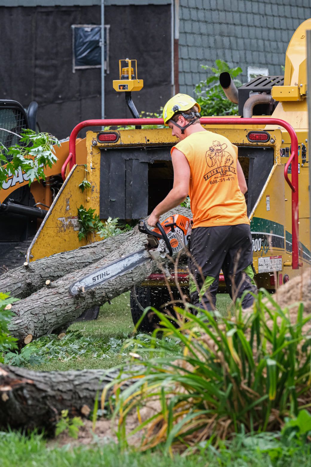 Tree Service | Janesville WI & Southern Wisconsin | Tree Wise Men