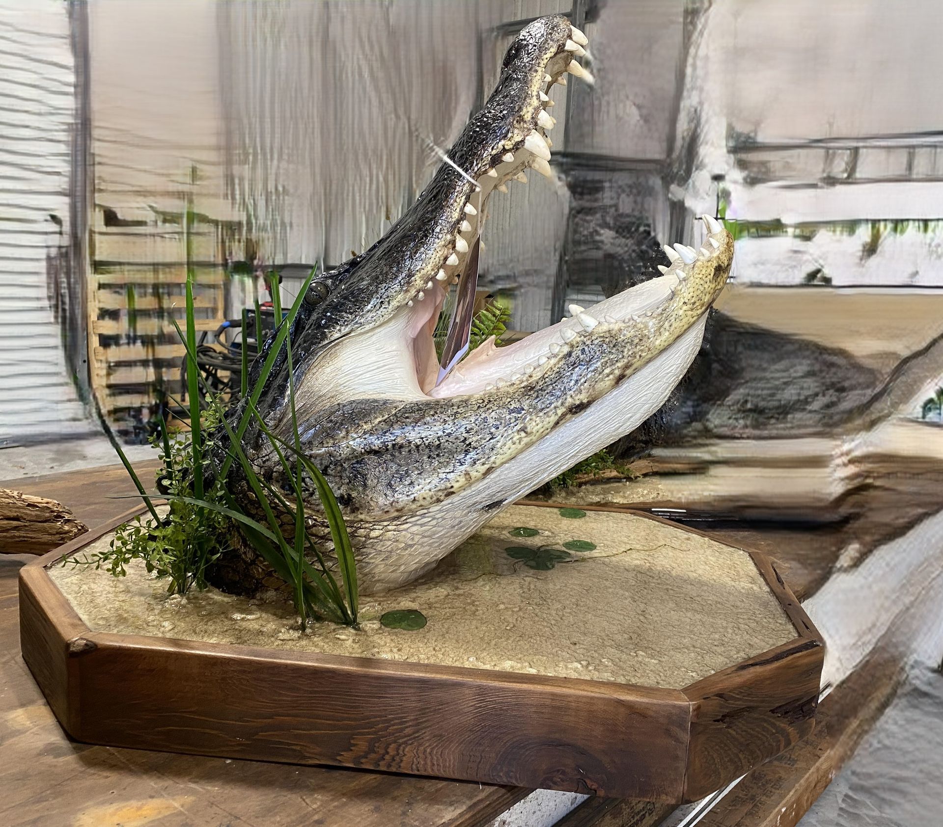 Alligator flat skin mount, Alligator Head and Shoulder, FL Taxidermist