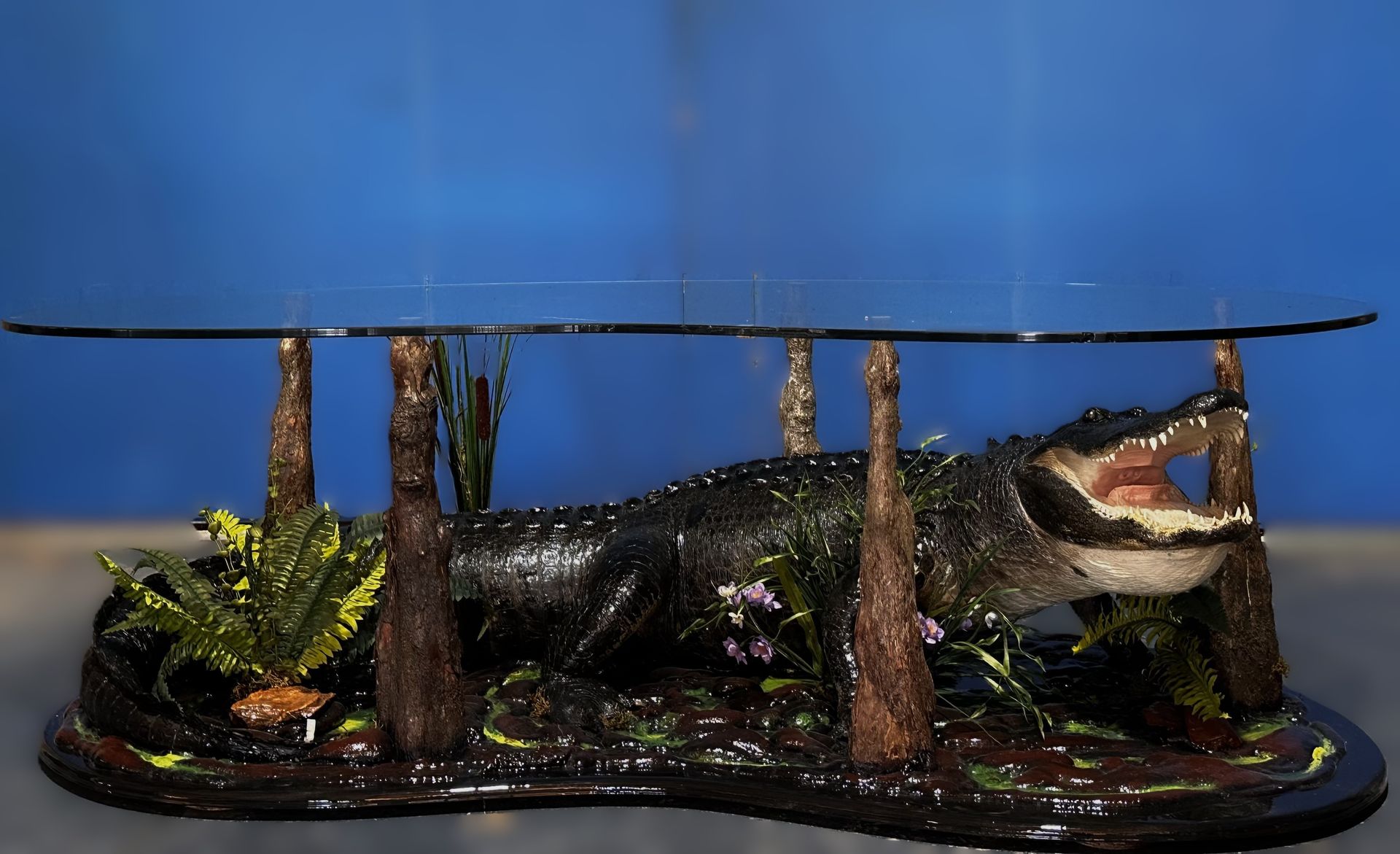 Taxidermy Alligator full body mounts