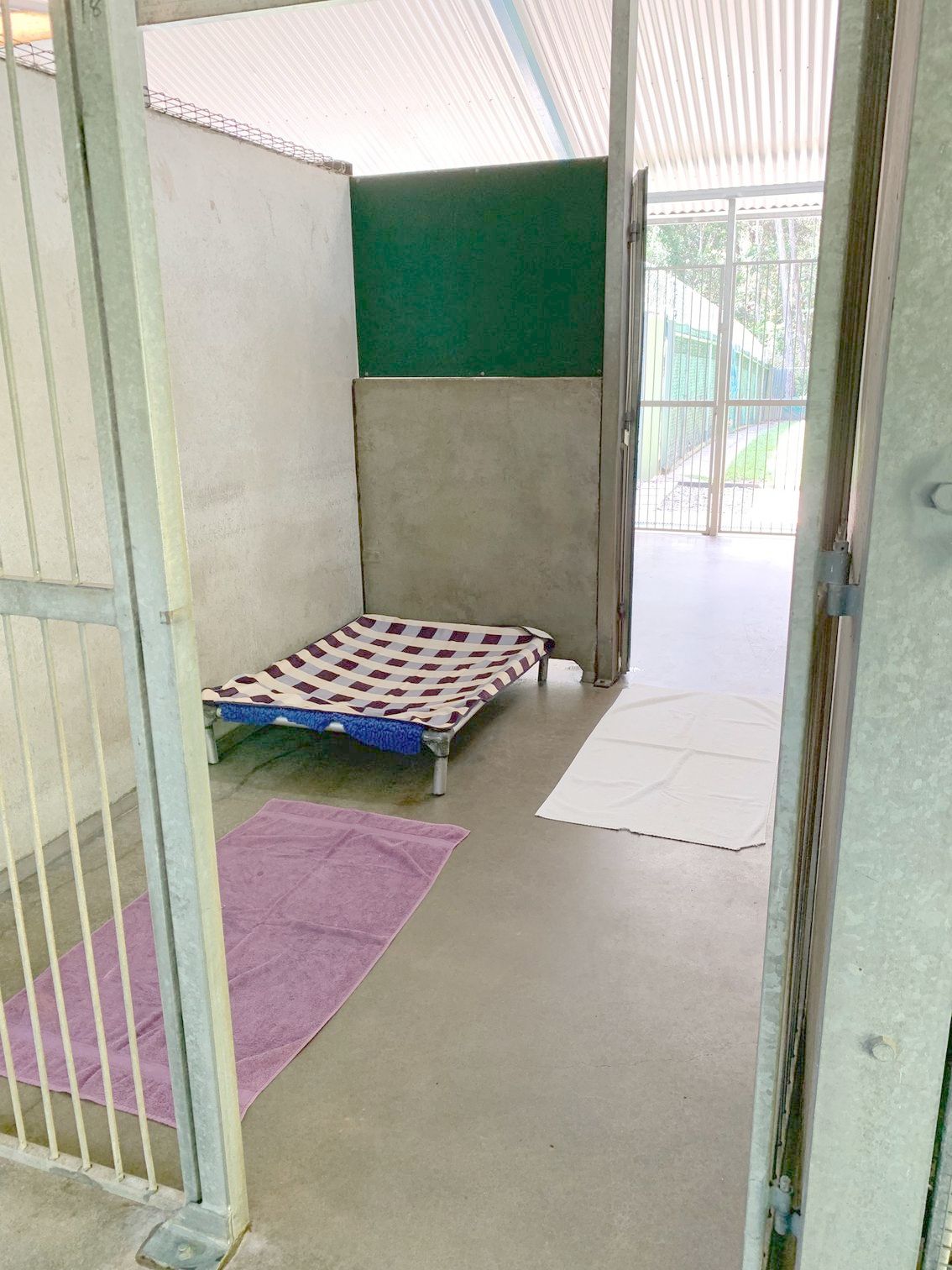 Services | Kuranda Pet Resort