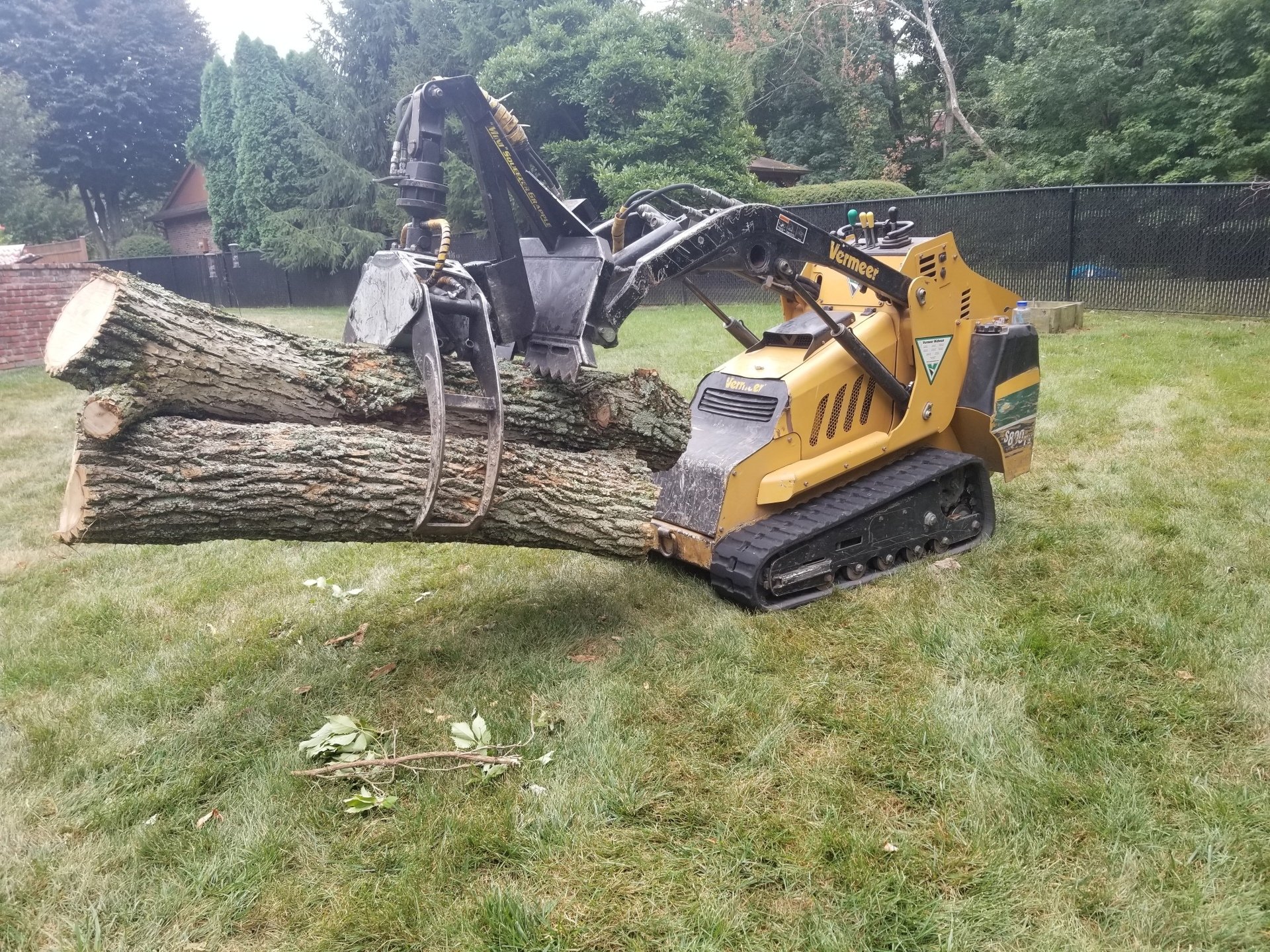 Brown's Tree Service, LLC| Stump Removal for Greenwood, IN