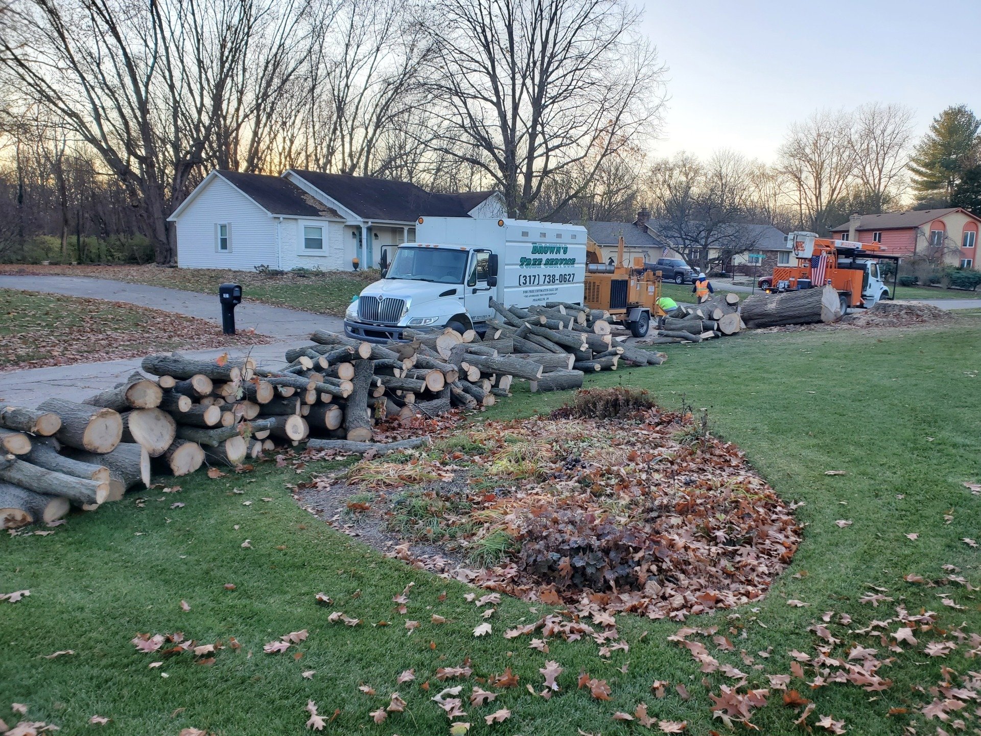 Brown's Tree Service, LLC| Stump Removal for Greenwood, IN