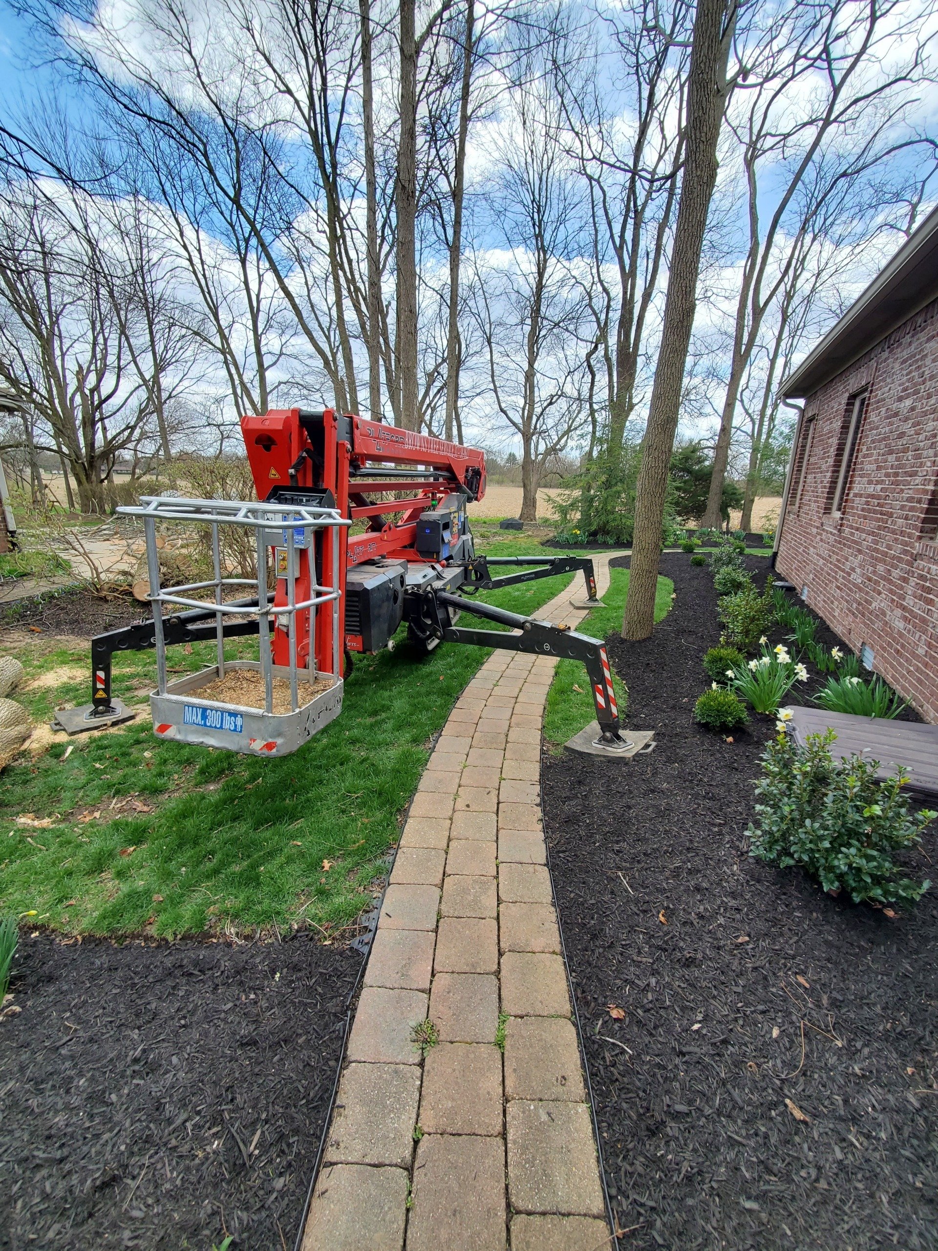 Brown's Tree Service, LLC| Stump Removal for Greenwood, IN