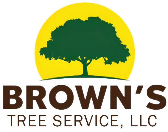 Brown's Tree Service, LLC| Stump Removal for Greenwood, IN