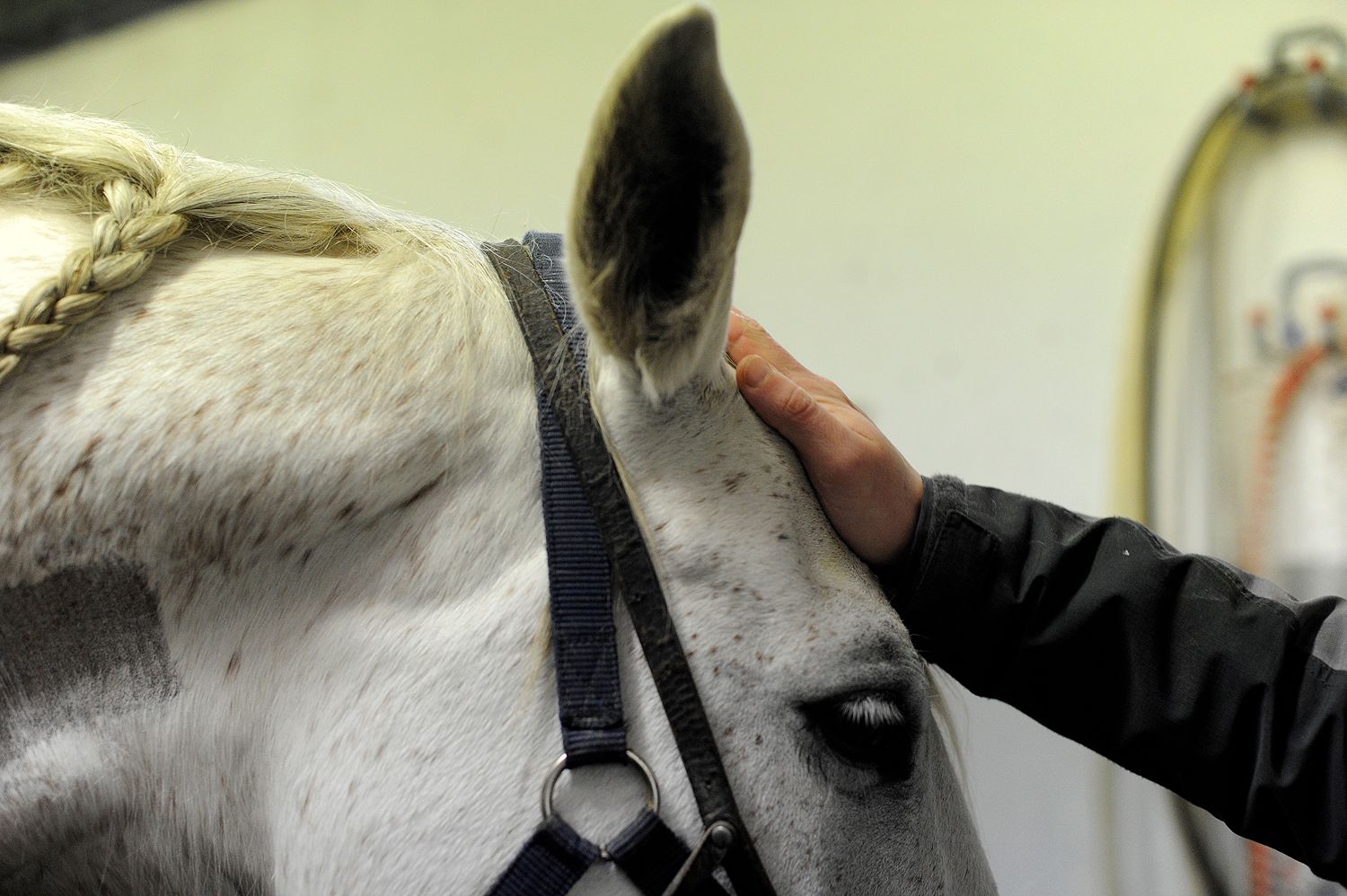 Découvrez nos produits | ARTHOR-Med