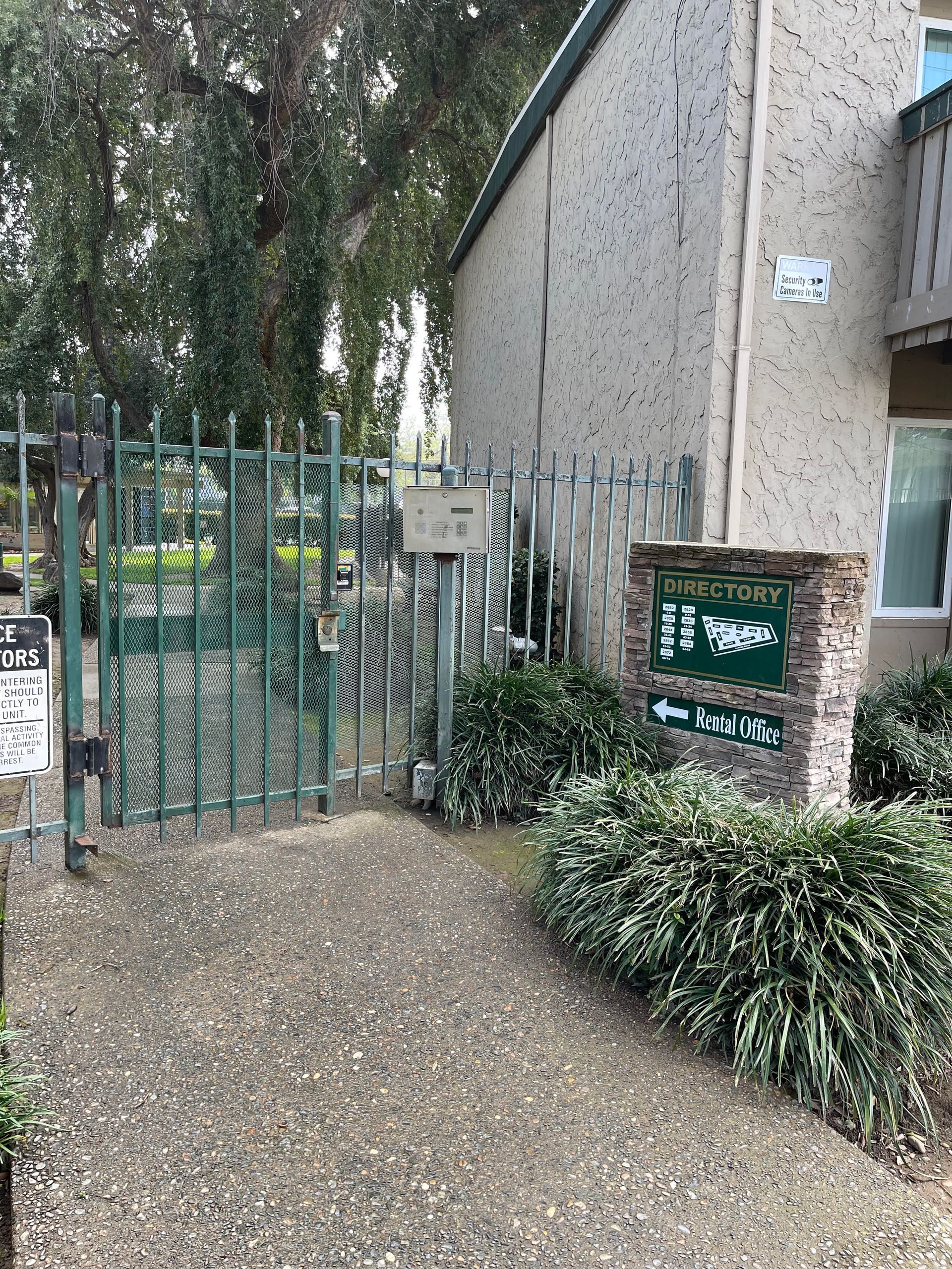 Redwoods at Mather Station