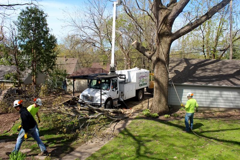 Quality Tree Services | Maple Grove, MN | PTS