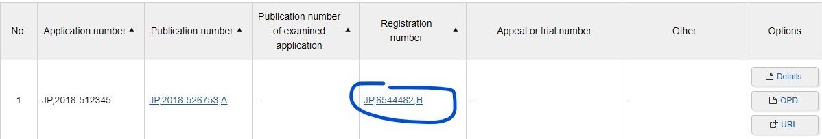 The Japanese Patent Application Numbering System