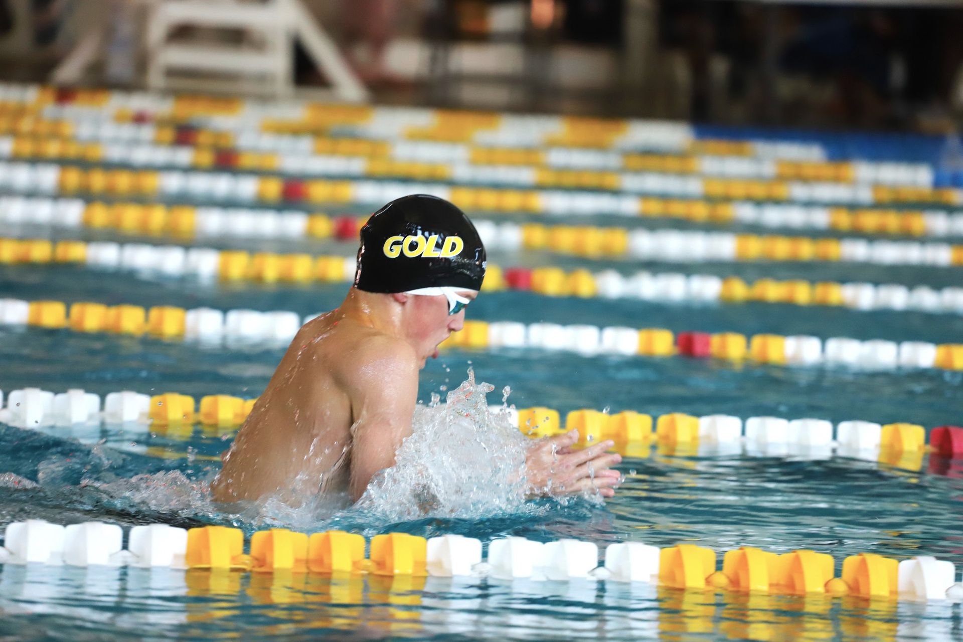 Chattahoochee Gold Swimming