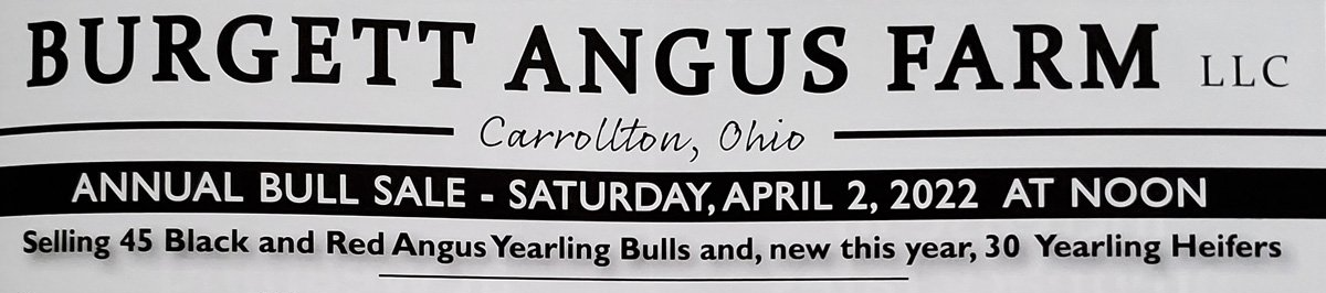 Black and Red Angus Bulls - Burgett Angus, Ohio