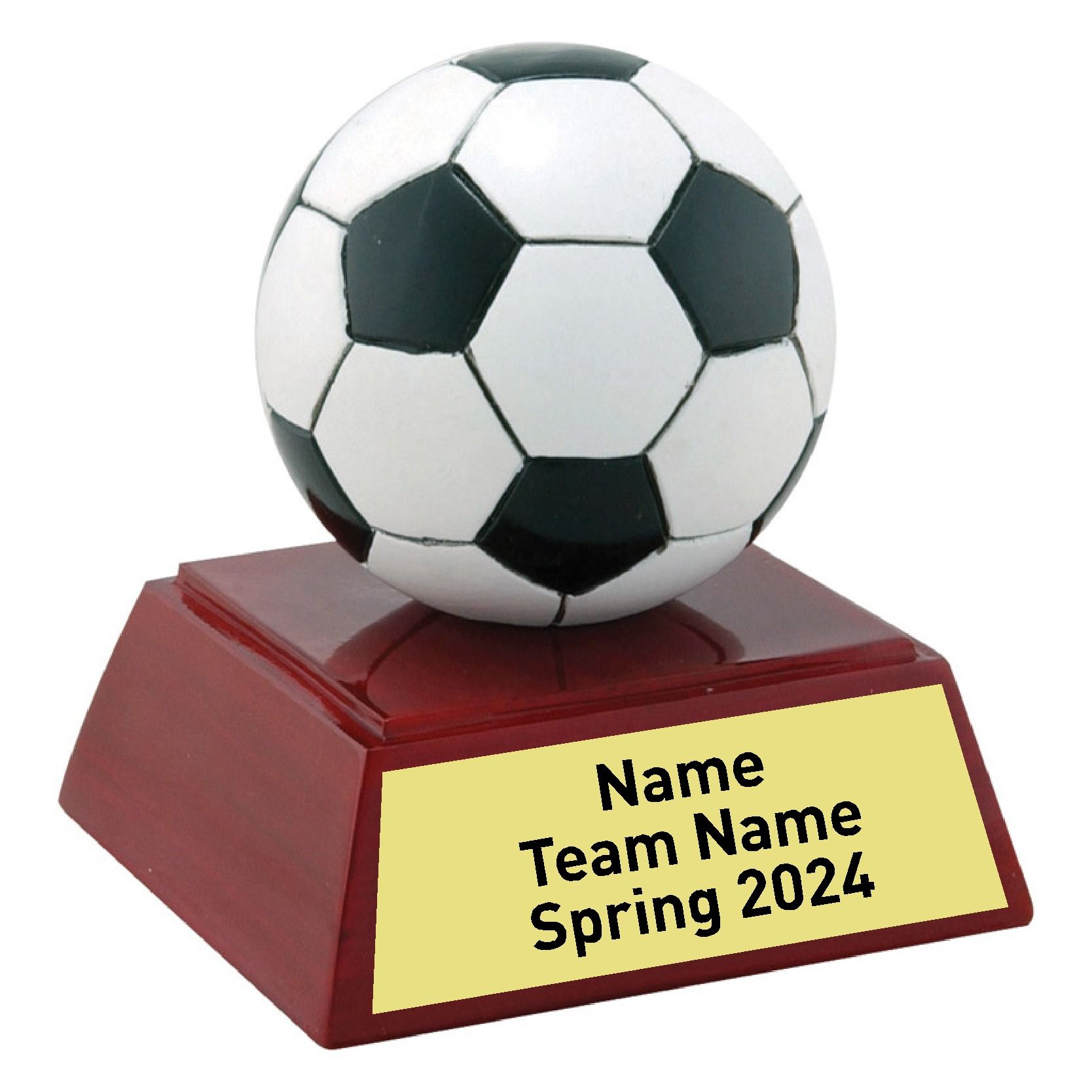 North Carolina FC Youth