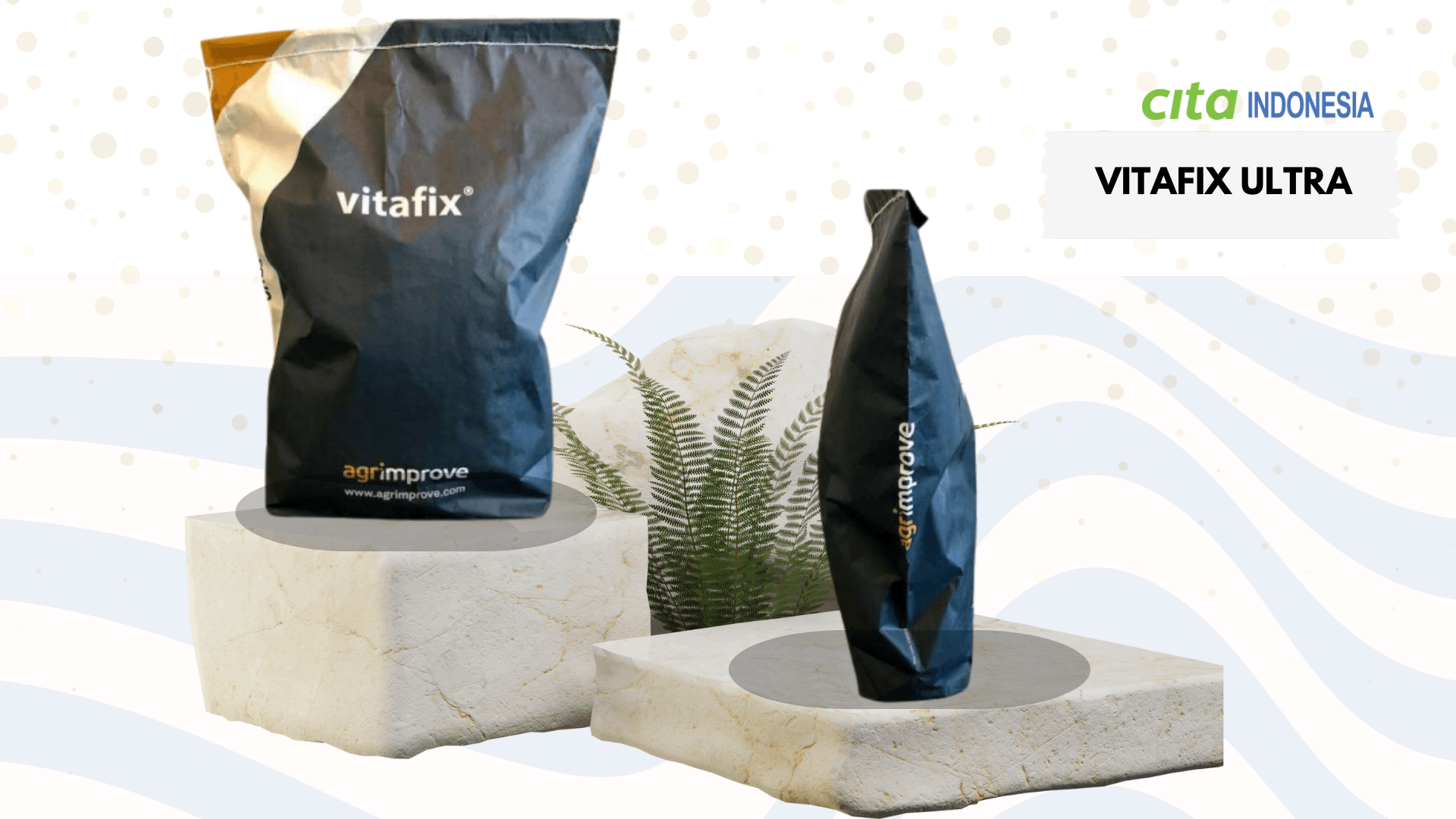 Cita Indonesia - News