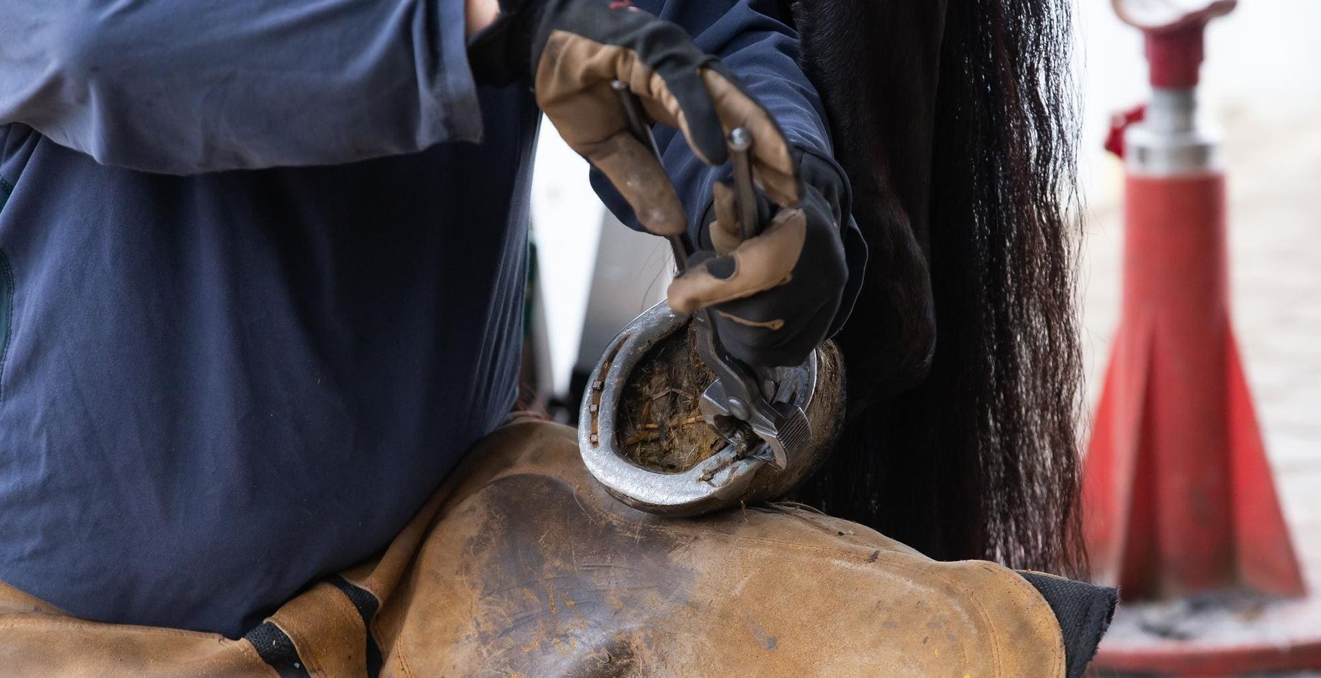 Performance Horseshoeing Services | Expert Farrier Care for Optimal ...