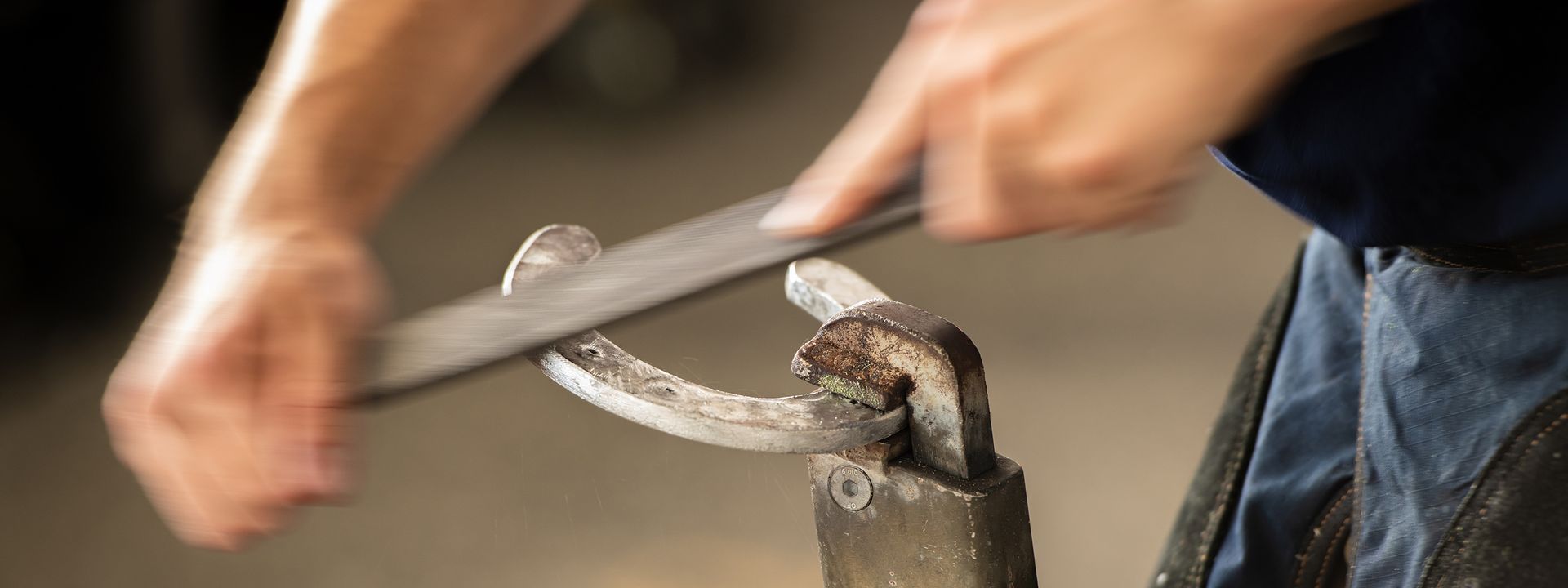 Expert Farrier Services | The Sound Step Farrier Service | Treasure Valley, Idaho