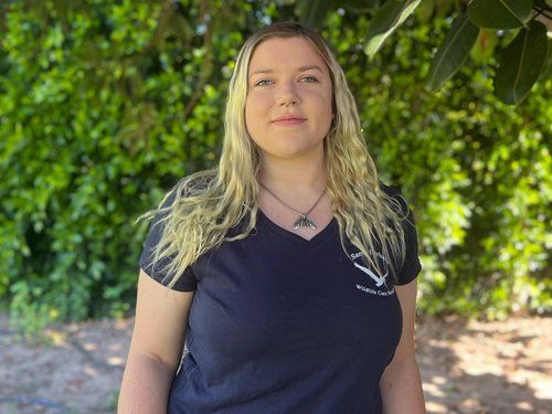 Our Team | Santa Barbara Wildlife Care Network