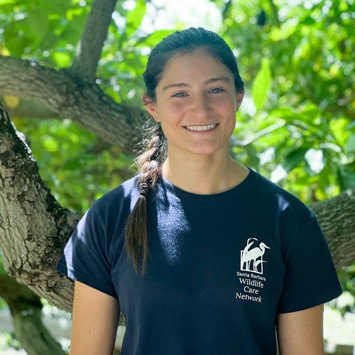 Our Team | Santa Barbara Wildlife Care Network
