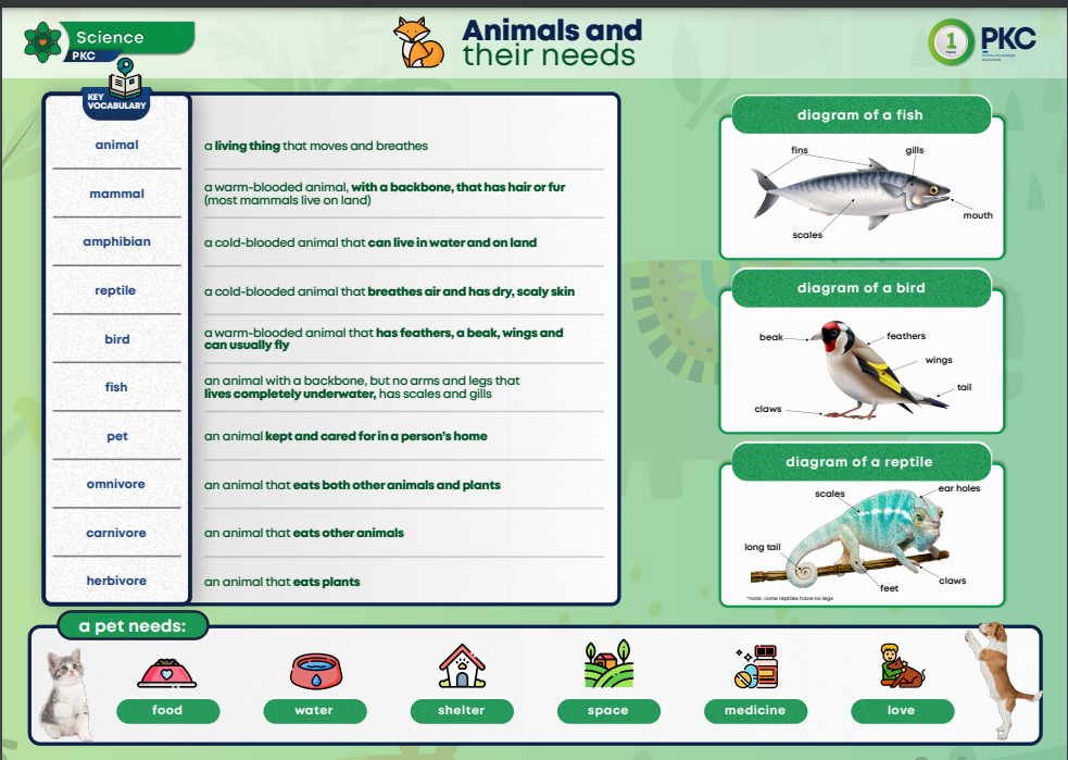 Knowledge Organisers