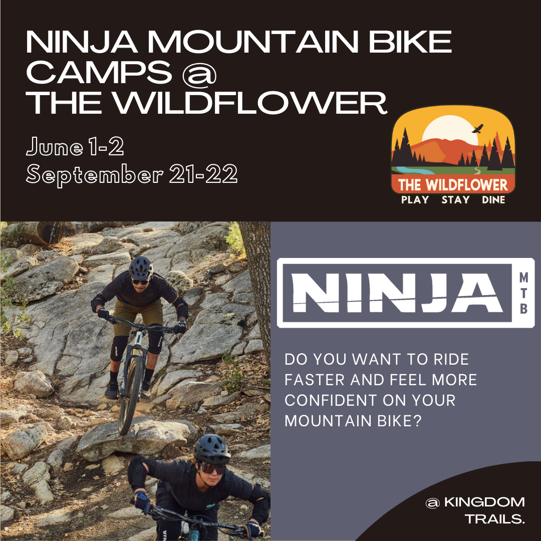 The Wildflower | Camps and Clinics