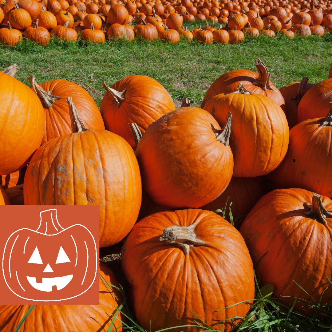 Wildflower Inn | Vermont Experiences in East Burke