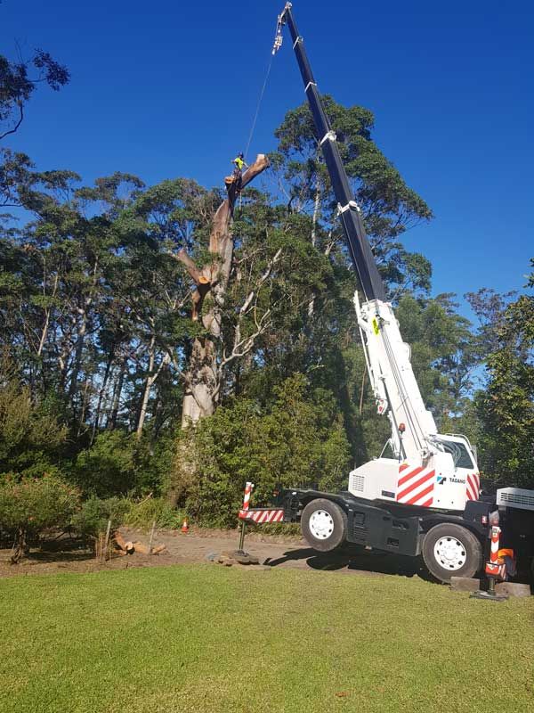 Crane Hire in Nowra | All Lift Cranes