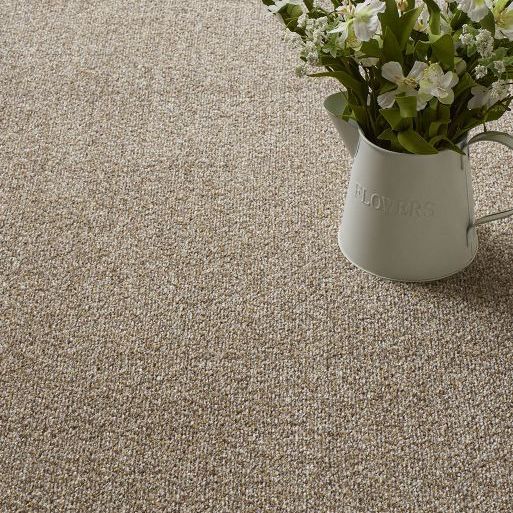 Carpet Giants | Carpet Stores Adelaide | Best Price on Carpet Adelaide