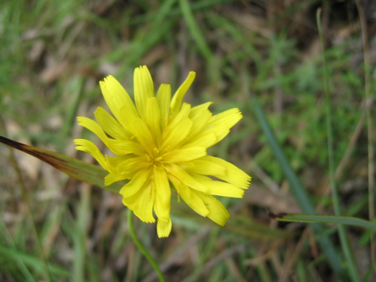 Attractions | Kilmore | Victoria Australia