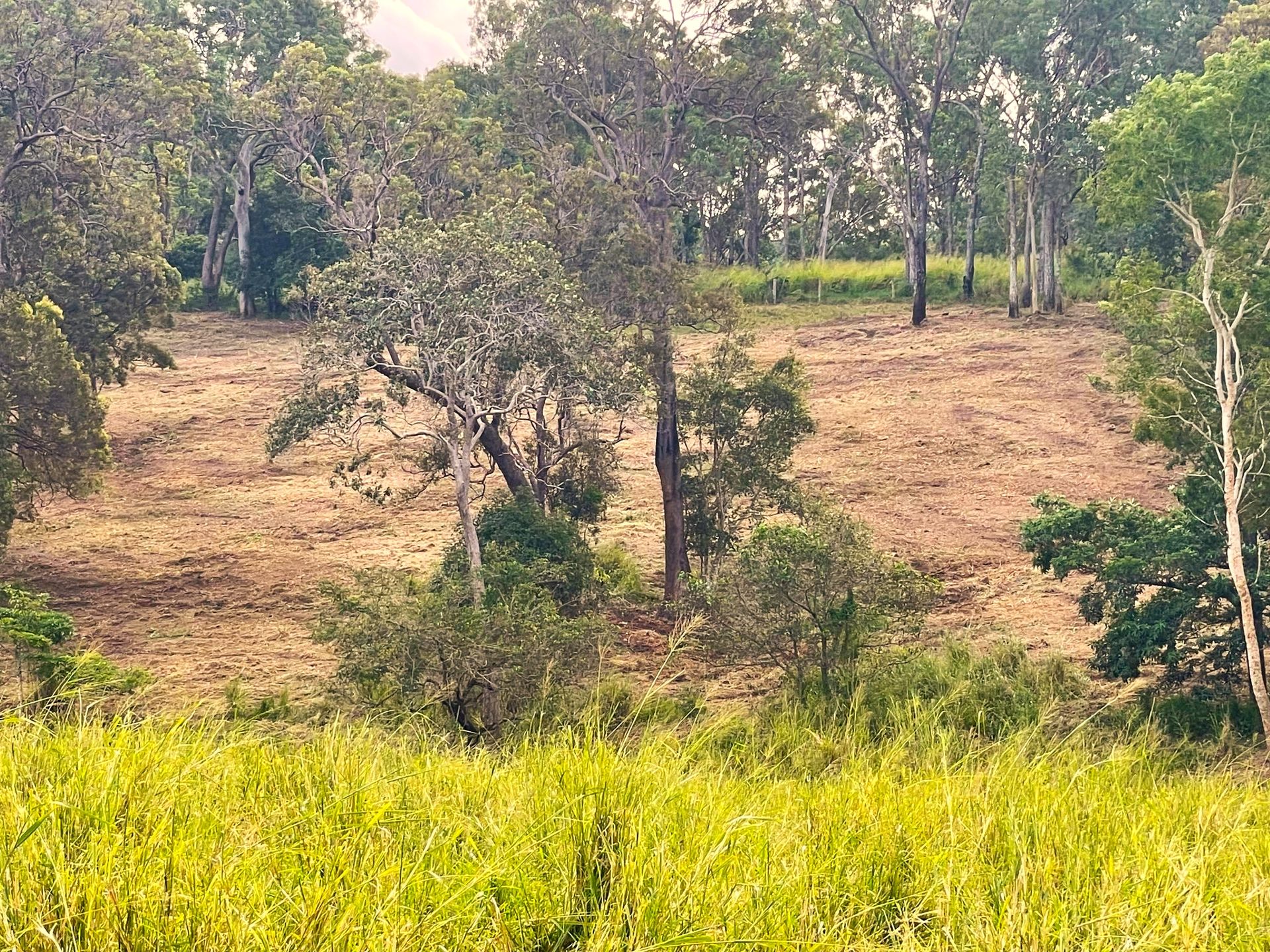 Environmental land clearing professionals