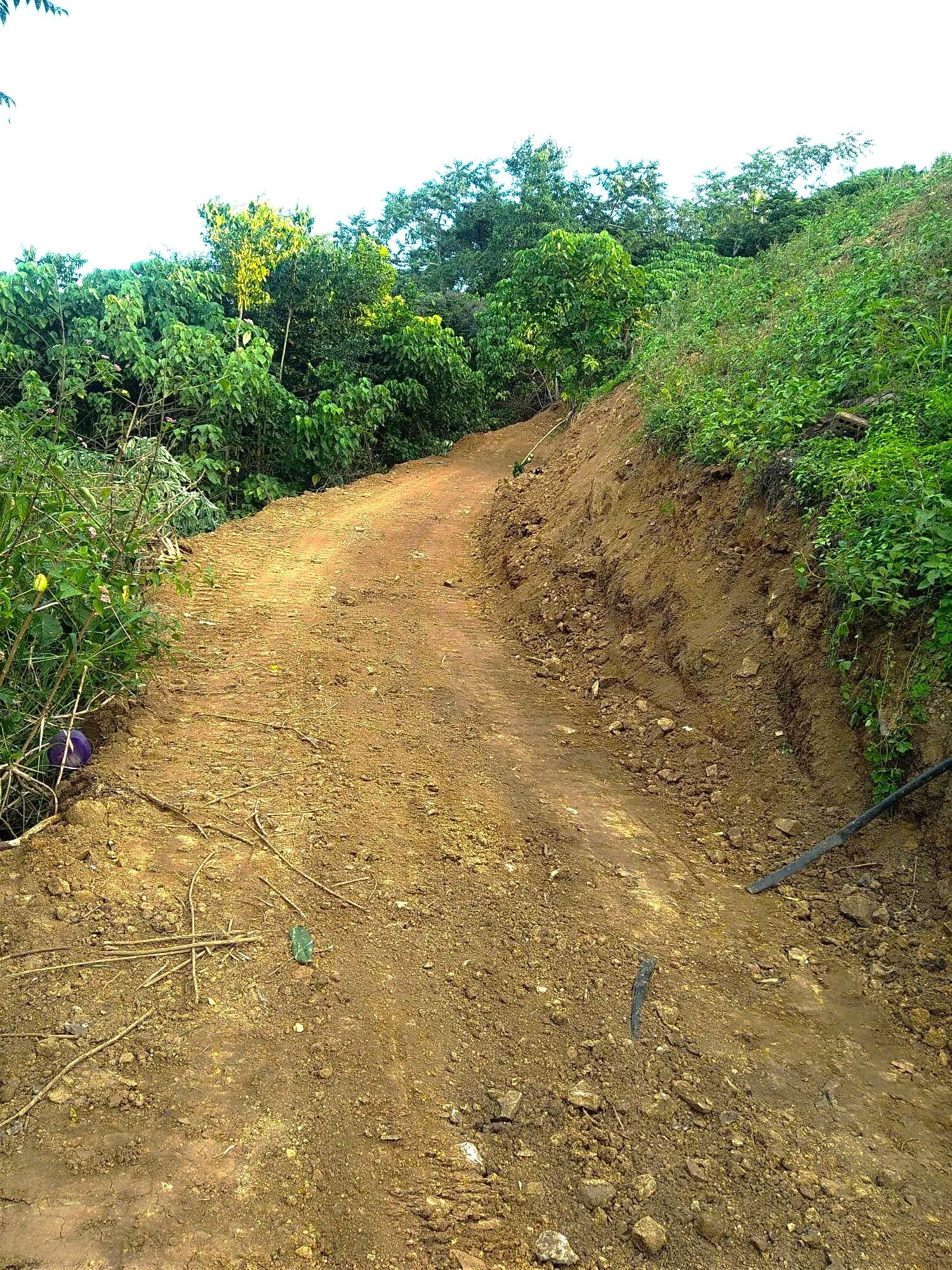 Environmental land clearing professionals