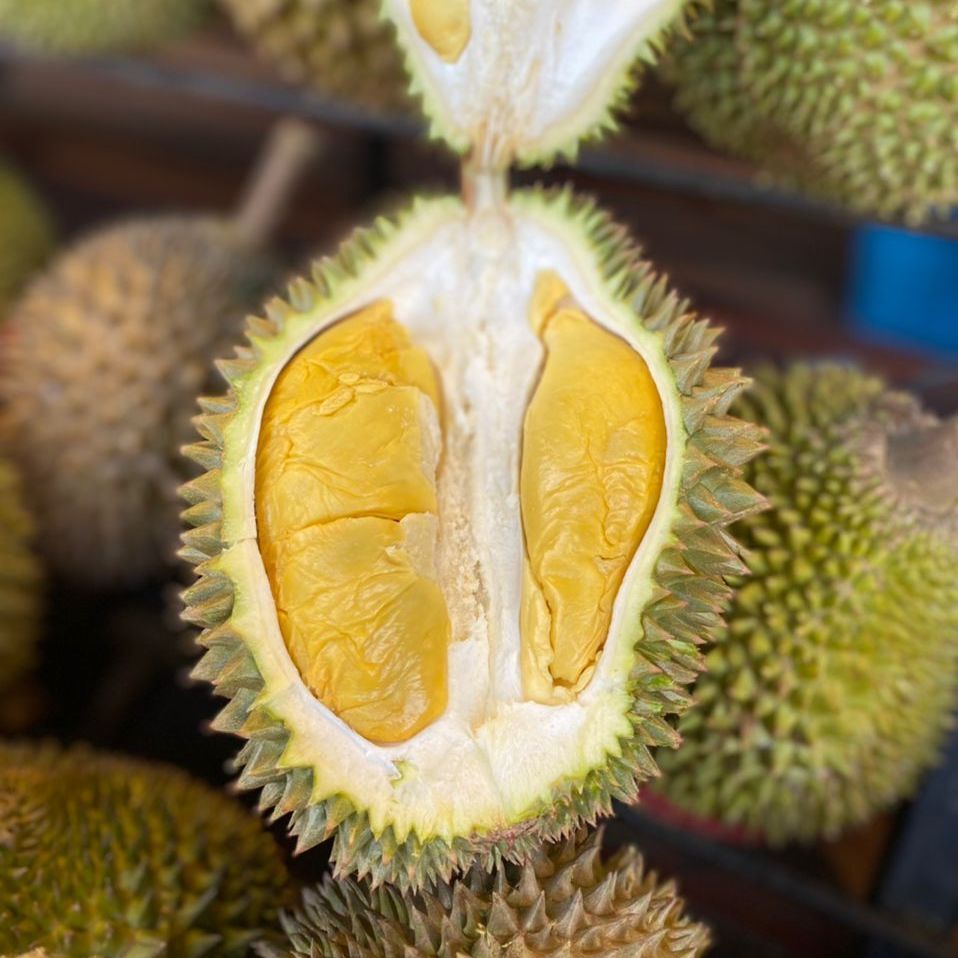 Home | Say Heng Durian Stall - Durian Wholesaler Selangor