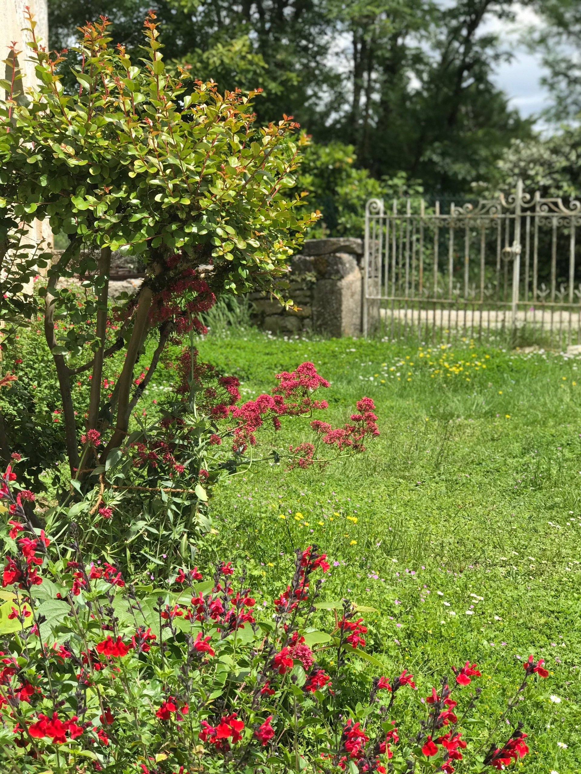 Le Domaine des Verdier, un havre de paix ou il fait bon vivre