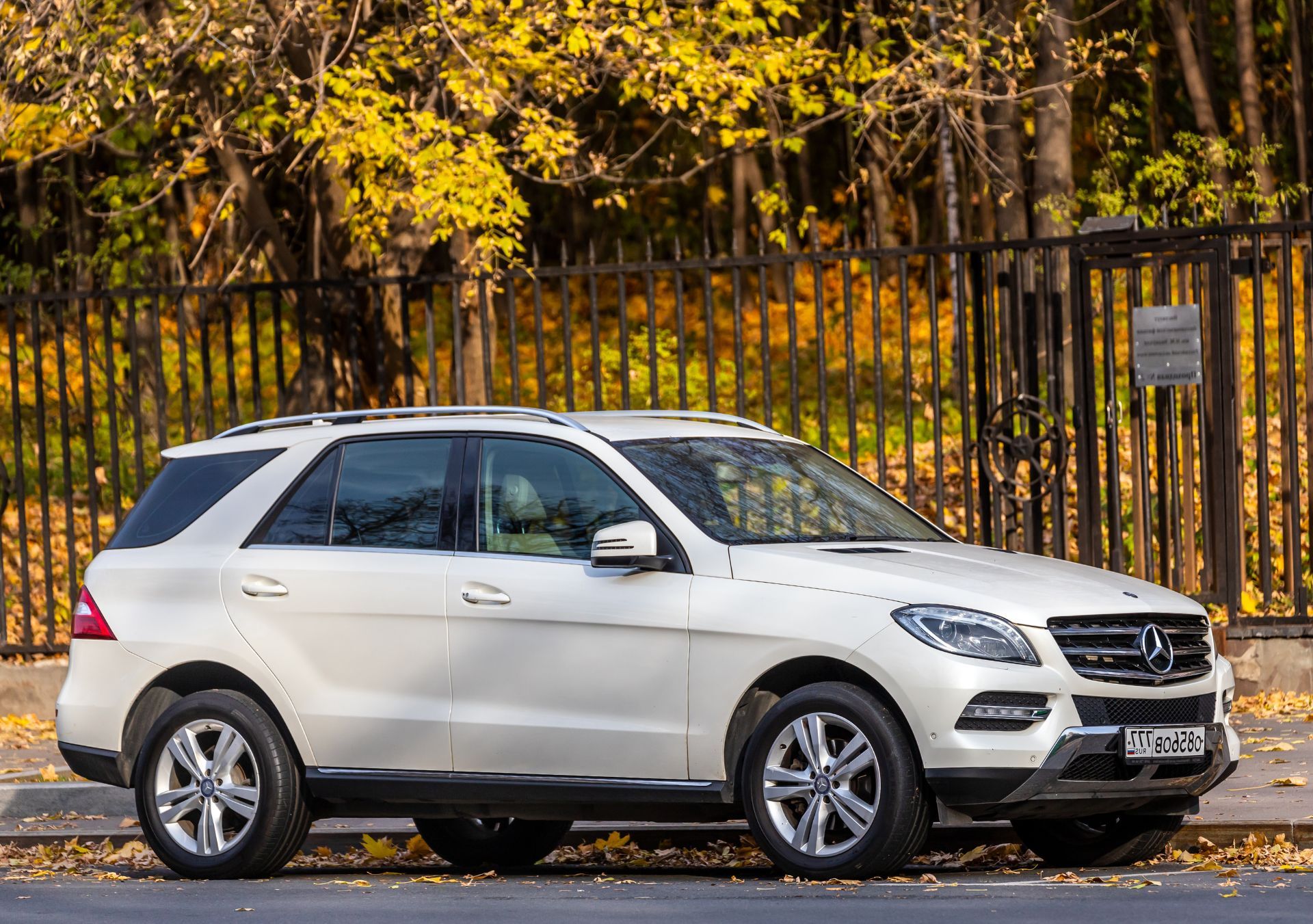 Mercedes Benz Car Insurance (Cost & Coverage)