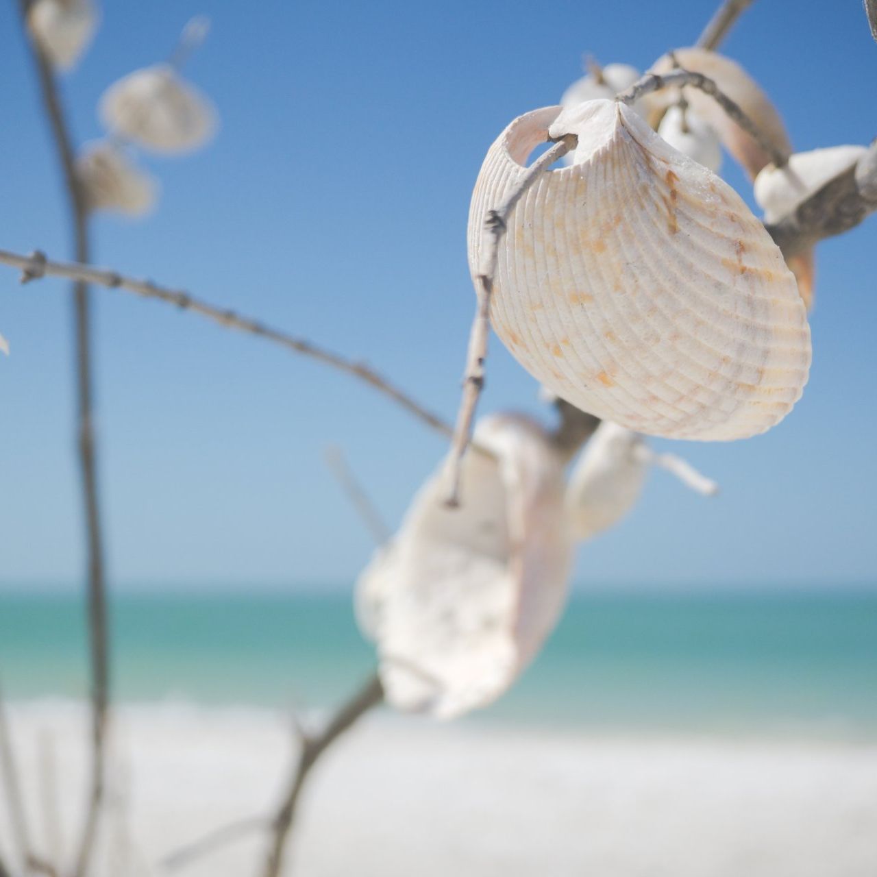 Protecting What Matters Most | East Coast Insurance