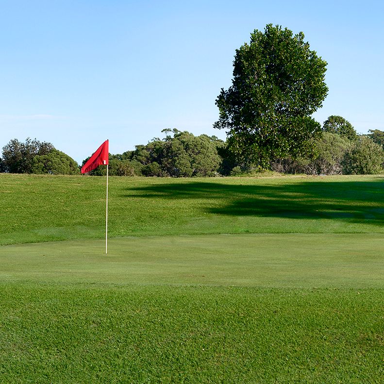 What's On | Iluka Golf Club