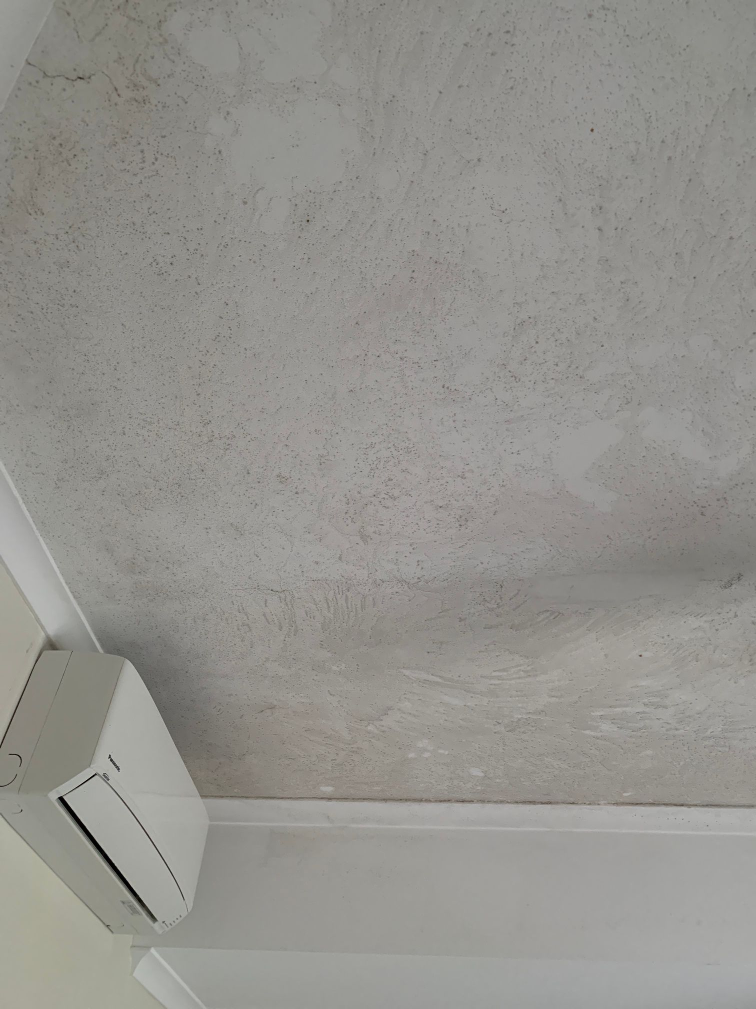 Mould Remediation, Removal & Cleaning Services Darwin & Surroundings ...