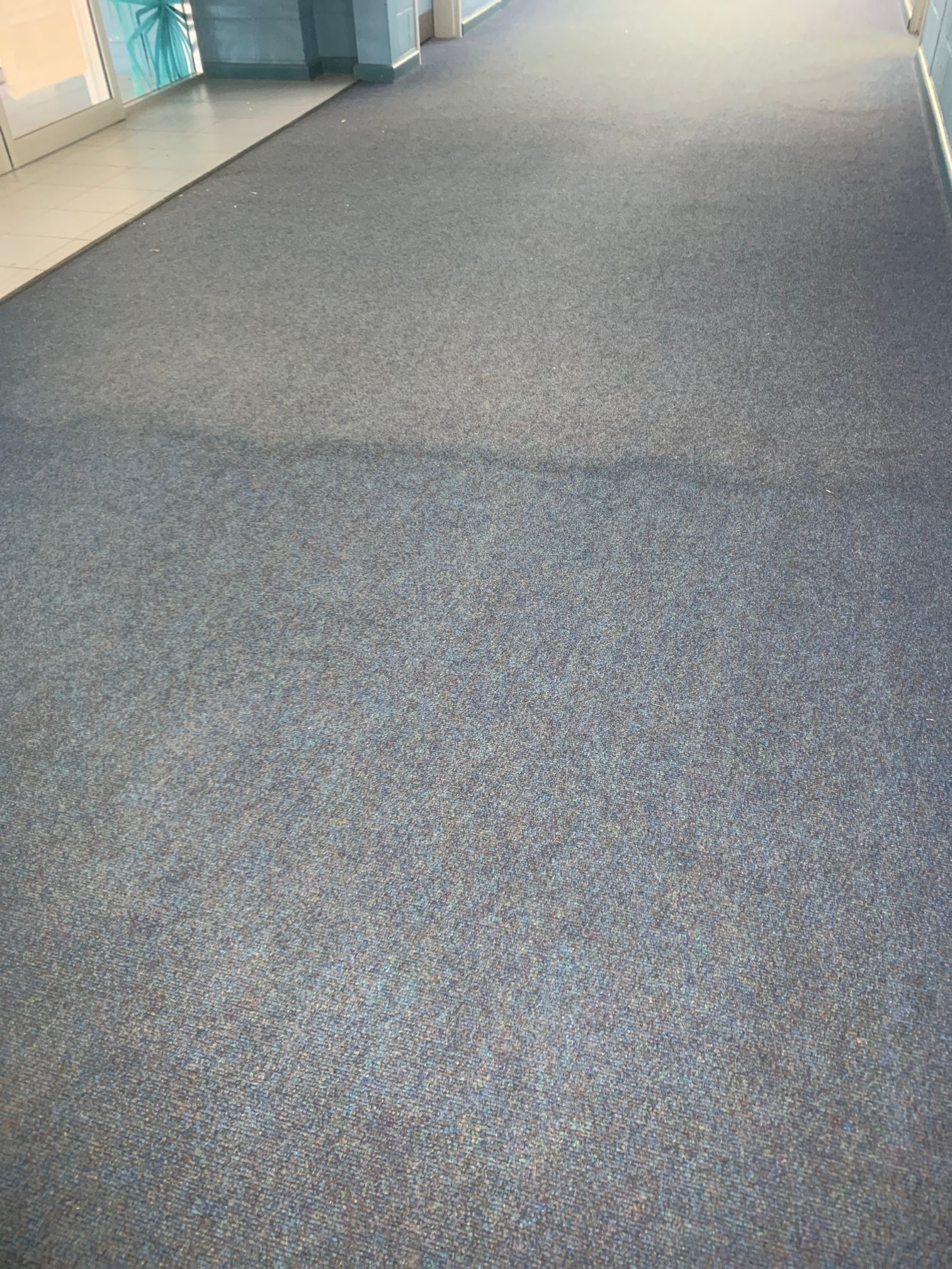 Carpet & Upholstery Cleaning in Darwin & Surroundings - Abbott Cleaning ...