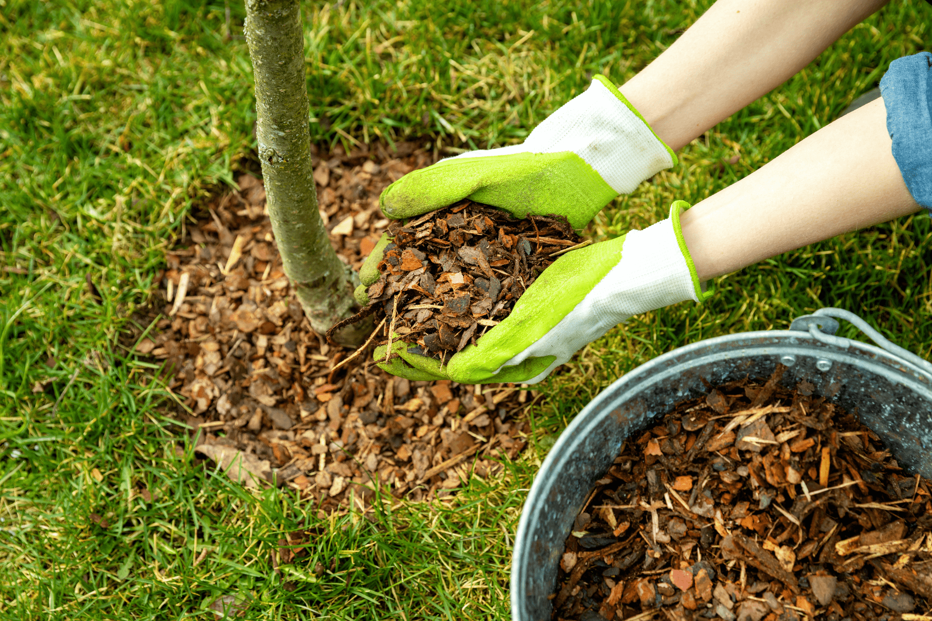 Boise Landscaping Company: Full-Service | Boise, Idaho