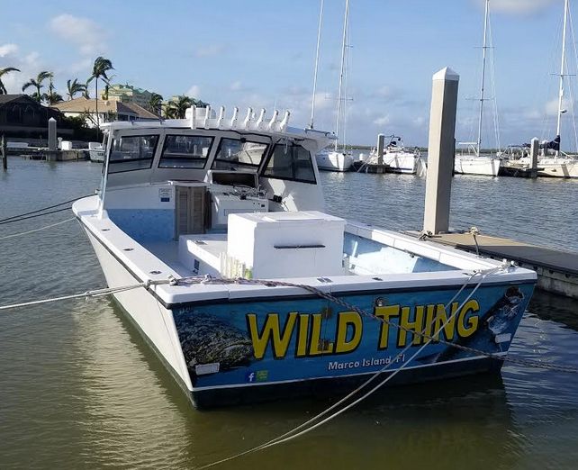 Marco Island Fishing Charter - Florida ( FL )