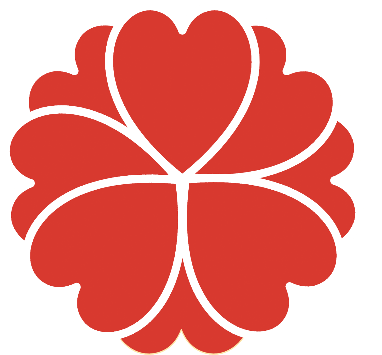 Heart Matters | Useful articles surrounding Heart Health