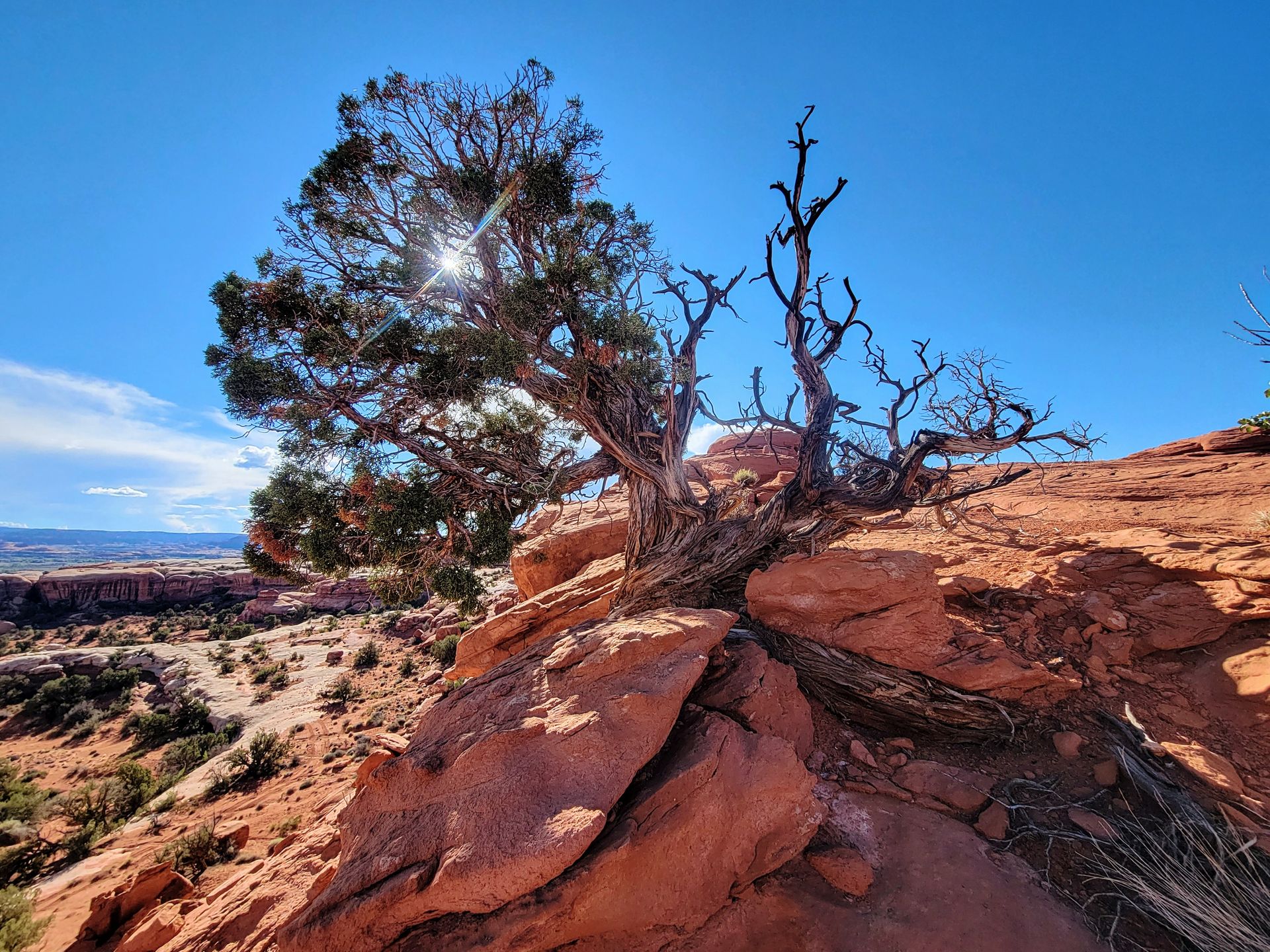 Authentic Desert Camping - Needles Outpost Campground