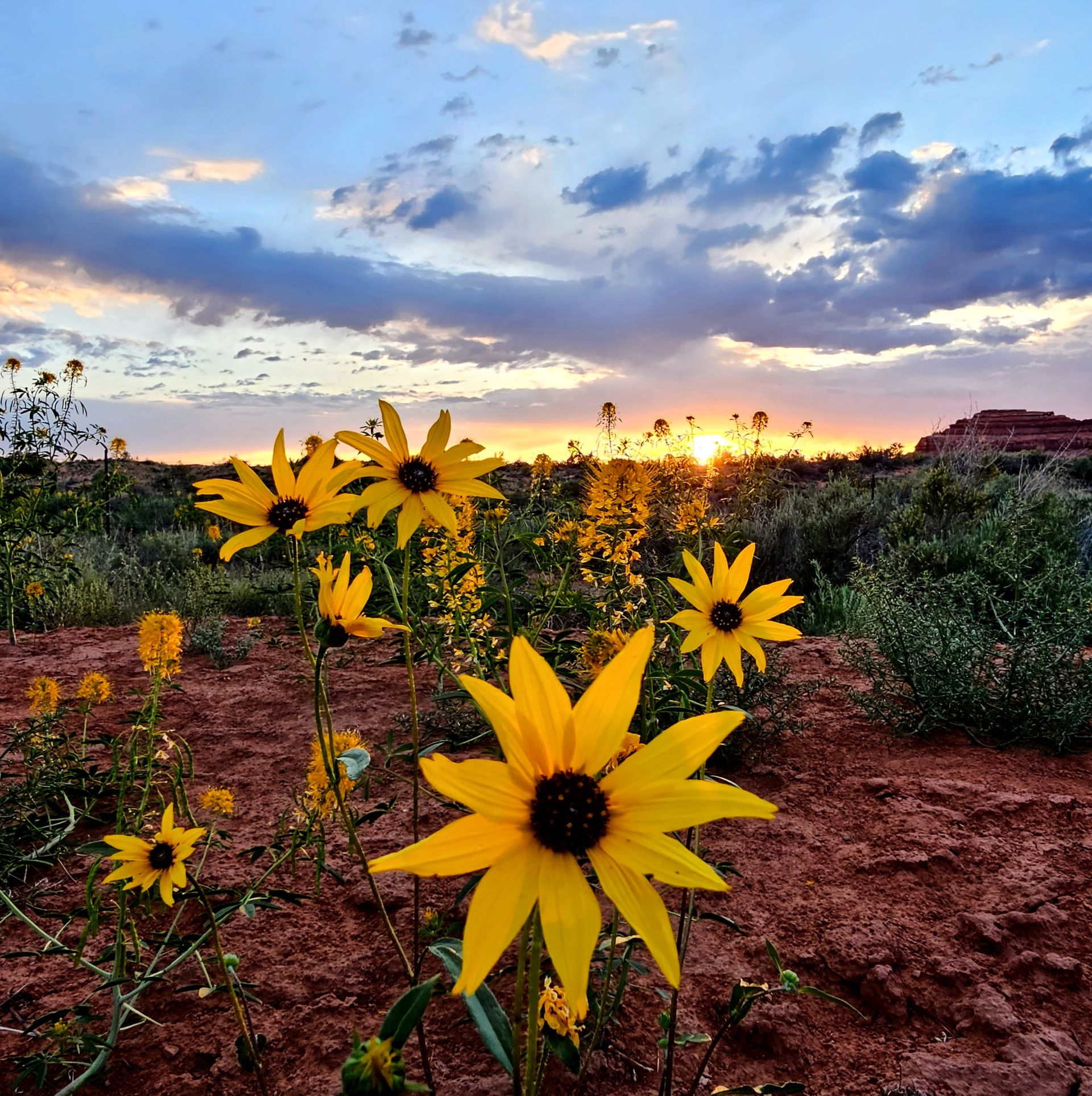 Authentic Desert Camping - Needles Outpost Campground