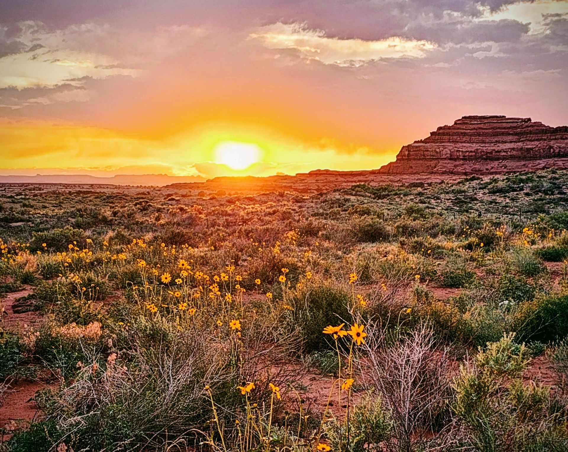 Photo & Video Gallery - Needles Outpost Campground